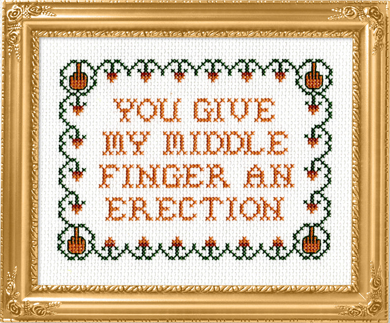 PDF: You Give My Middle Finger An Erection by Mr. Stevers – Subversive ...